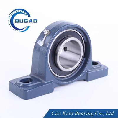 Bearing Steel UCP205 UCP206 Bearing Housing/Pillow Block Bearing/Flange Bearing Units